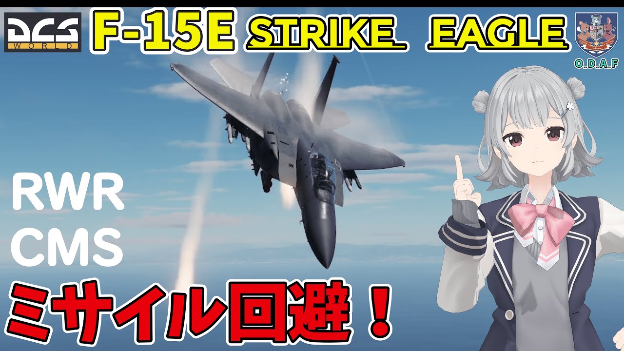 【DCS解説】F-15E RWR / チャフ / フレア 実践チュートリアル！ - YouTube