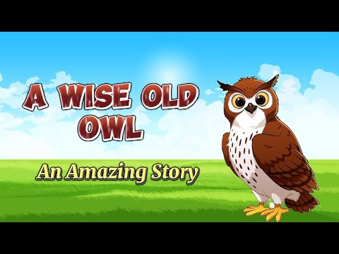 A Wise Old Owl | Amazing Story | Childenzia English Story - YouTube