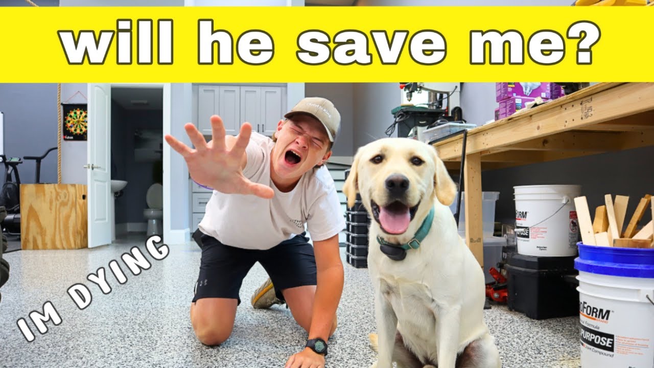 Faking My Death in Front of My Dogs | FUNNY REACTION 😆 - YouTube