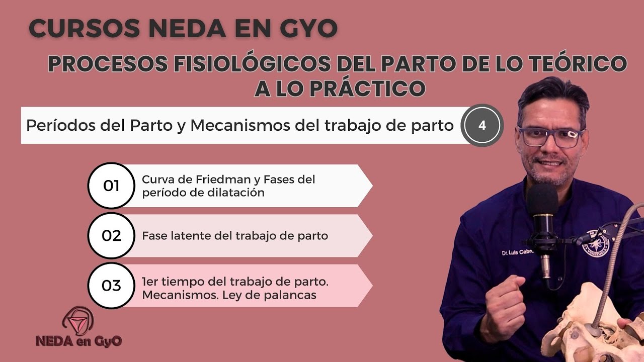 4. Períodos y Mecanismos del Parto. Procesos fisiológicos del parto. De ...