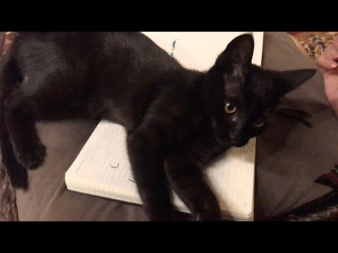 Writing With Lucifer - YouTube