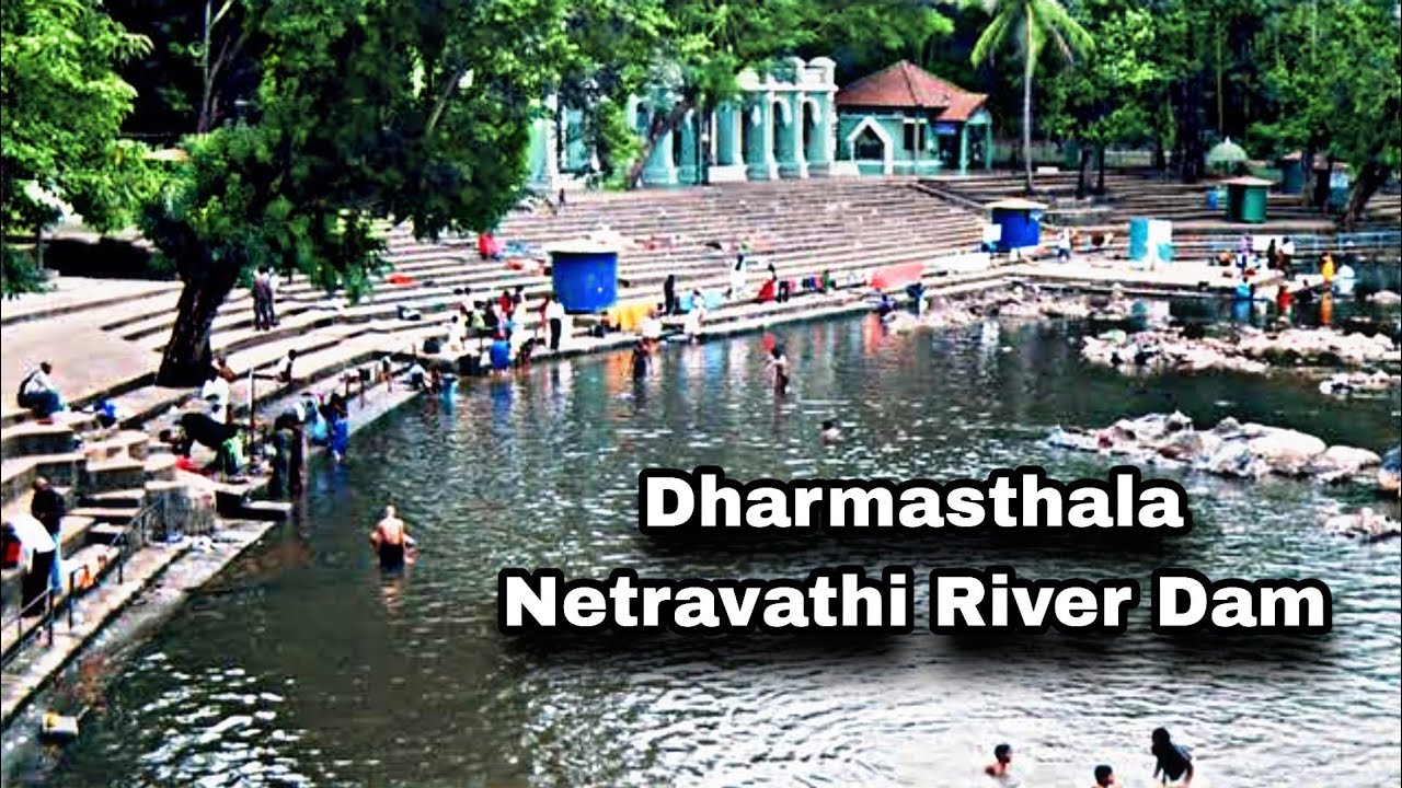 Netravathi River Dam, Dharmasthala #waterfalling #nature #forest # ...