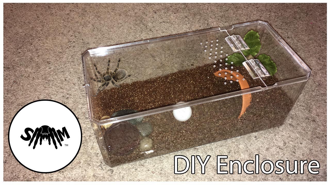 How To Set Up A Tarantula Enclosure Easy Step By Step