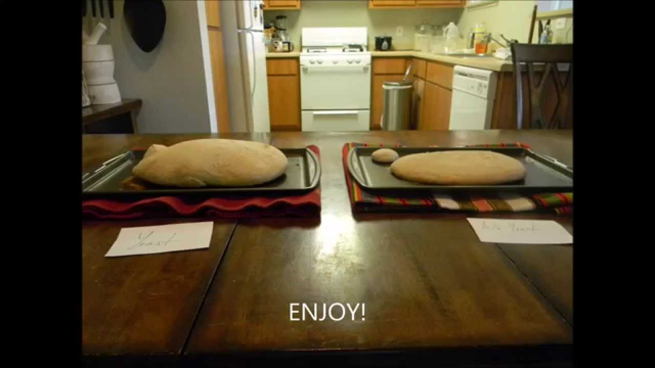 Making Bread Biotech II Fermentation Lab - YouTube