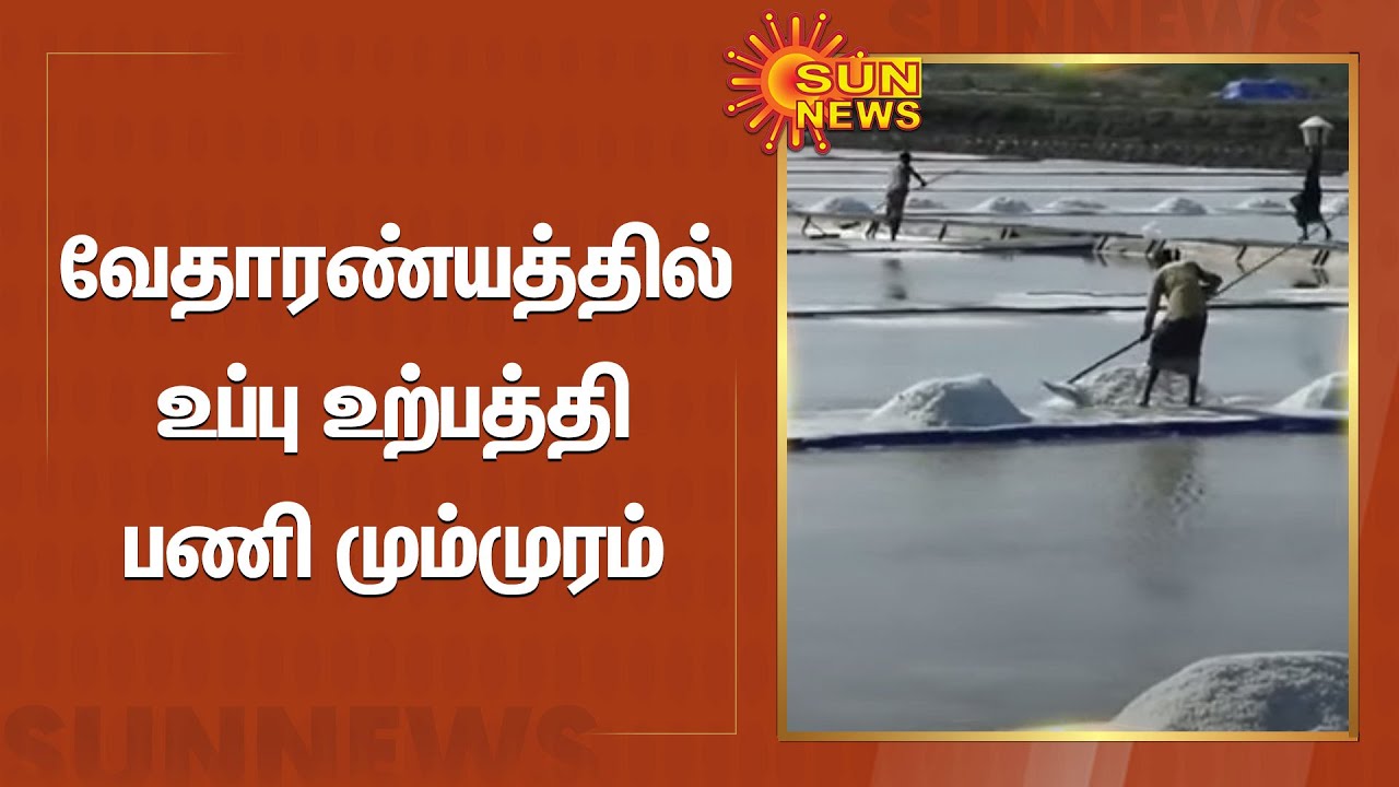 Vedaranyam | Salt | வெயிலின் தாக்கம் அதிகரிப்பு.வேதாரண்யத்தில் உப்பு ...