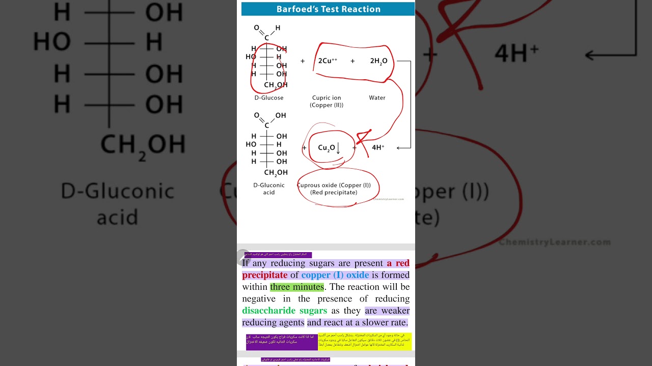 lab chemistry / barfoed's test - YouTube