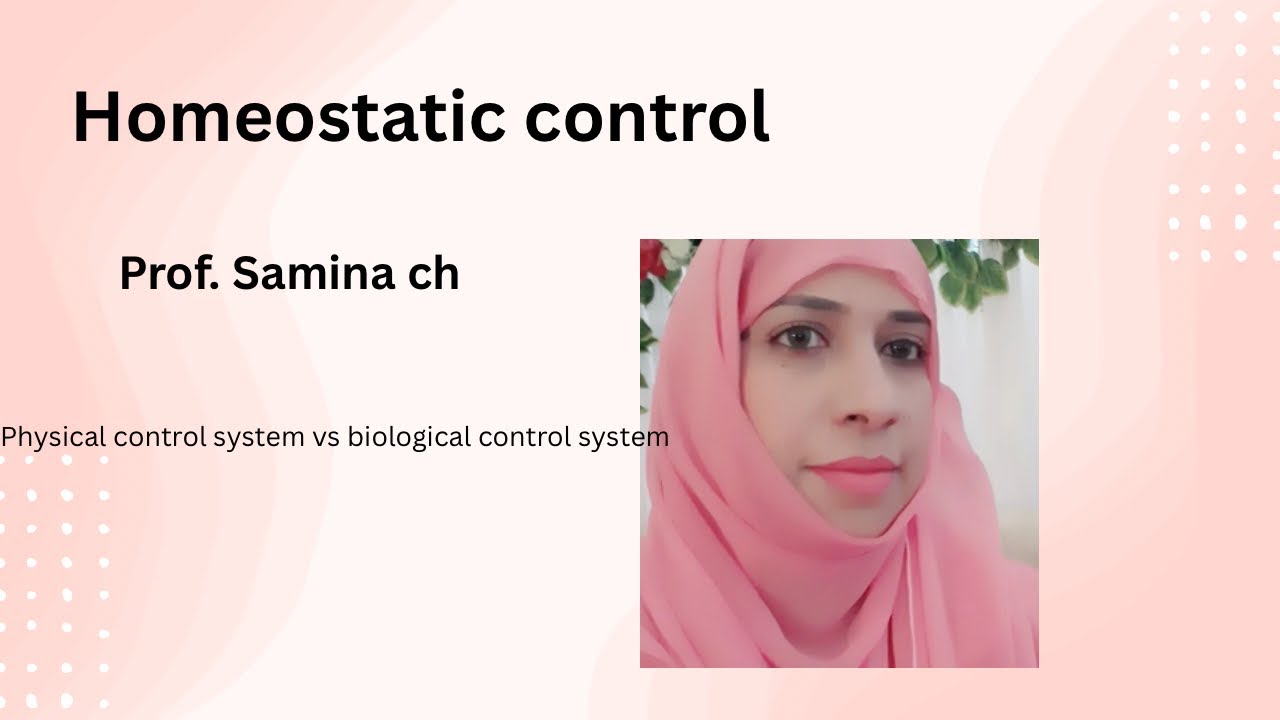 Homeostasis | physical control system living control system| feedback ...