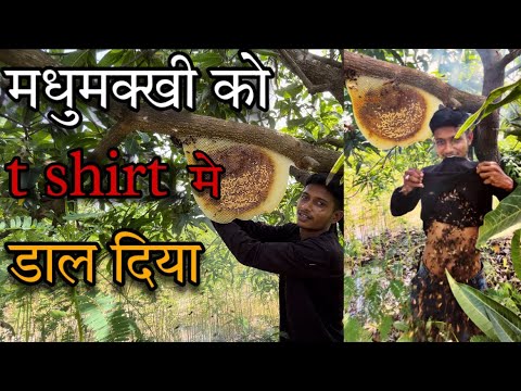 Bee’s 🐝 डर सबको लगता है ☠️ || Everybody feels scared 😱 - YouTube