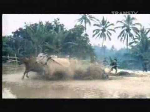 Transtv Djarum Super 22 25 (07/05)