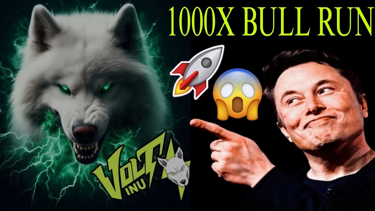 Volt Inu Token 1000x Gain YouR Portfolio | Volt Inu Today Update | Volt ...