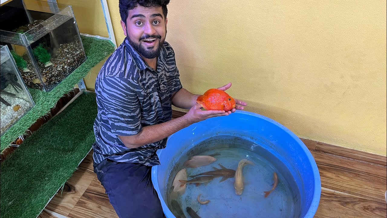 Six Feet Monster Tank Water Change Kar Diya #aquarium - YouTube