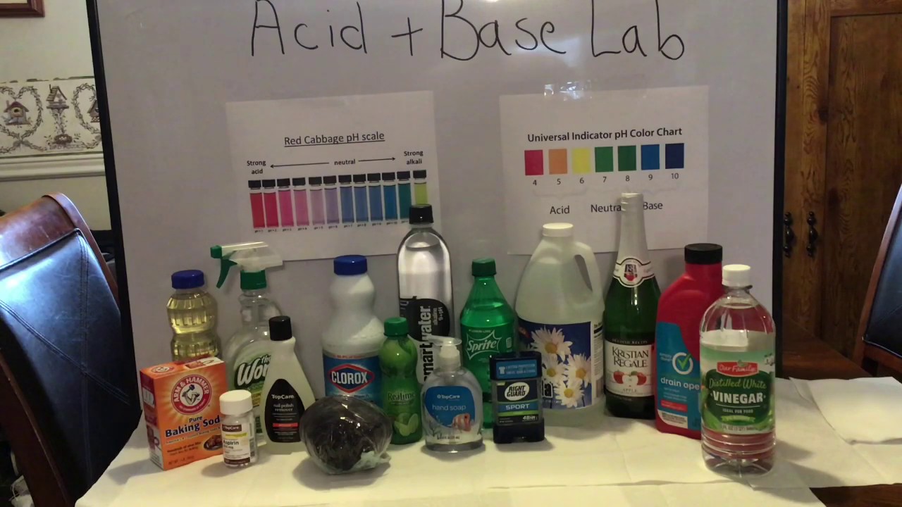 CHEM 100 Acids and Bases Lab Video - YouTube
