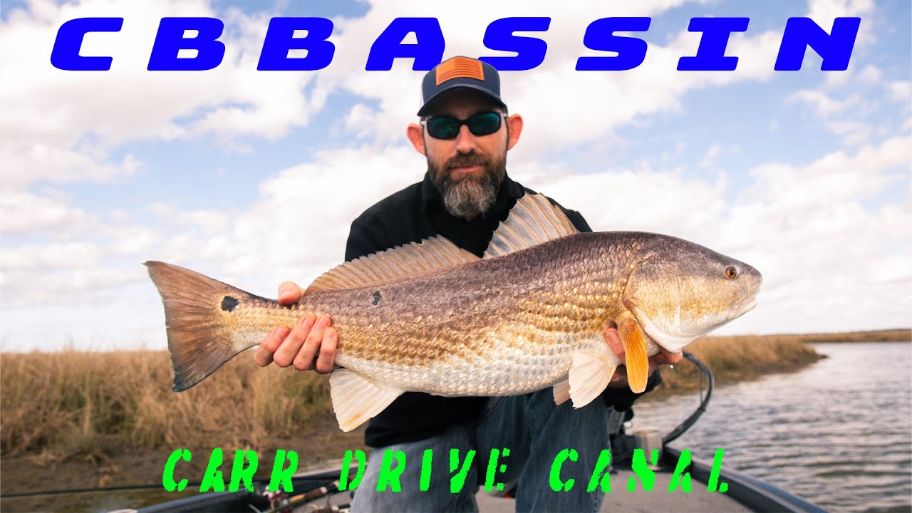Fishing an old favorite place. ( Carr Drive Canal ) - YouTube