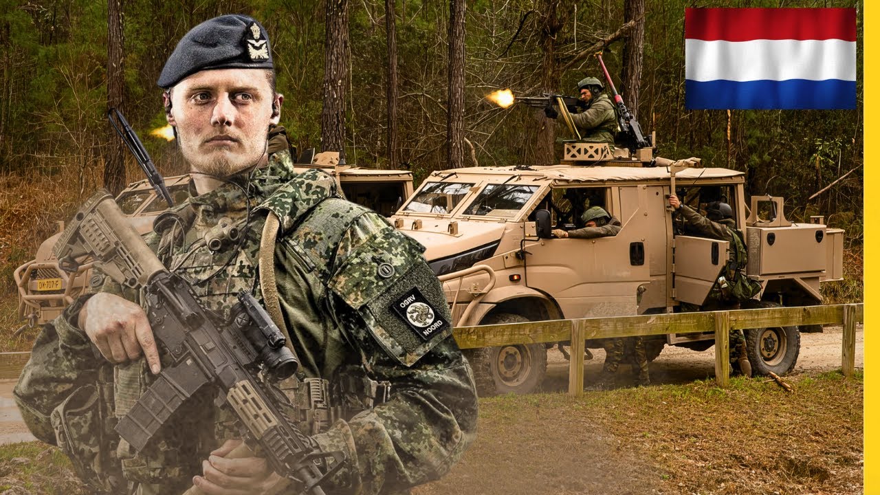 Review of All Netherlands Armed Forces Equipment / Quantity of All ...