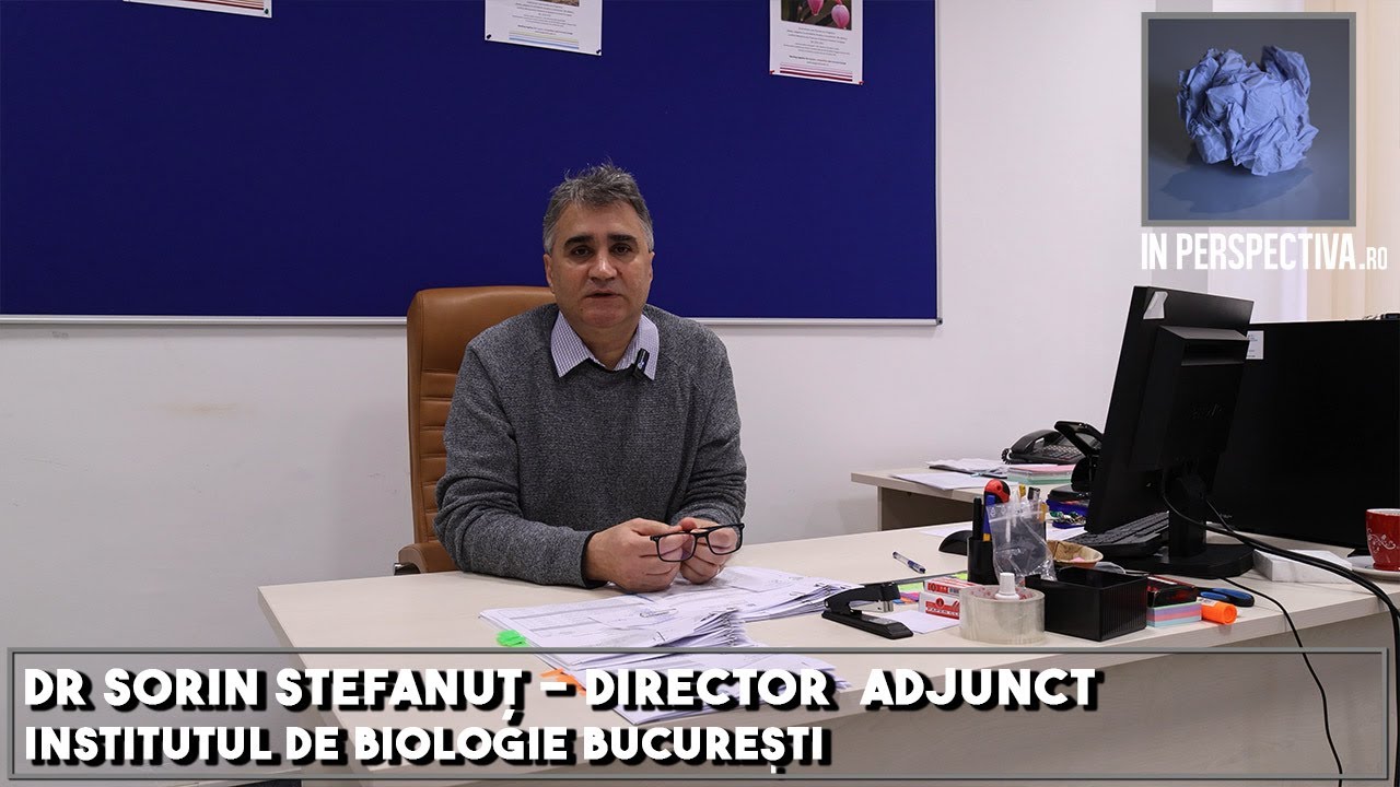 Dr. Sorin Stefanut - Director Adjunct - Institutul de Biologie ...