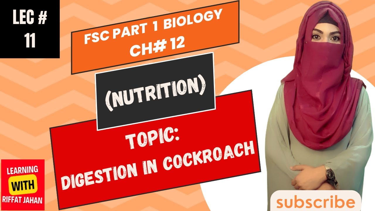 Ch#12 | Nutrition | Lec #11 | DIGESTION IN COCKROACH (FSc Biology part 1)@riffatjahan - YouTube