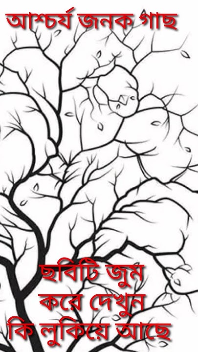 ছবিটি জুম করে দেখুন A Wonderful Tree Just A Magic Tree Digital School Care Youtube