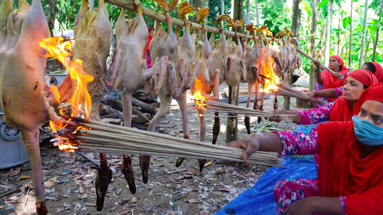 King Of Duck Recipe - 21 Swan Goose/Rajhash Kala Vuna Recipe Cooking In ...