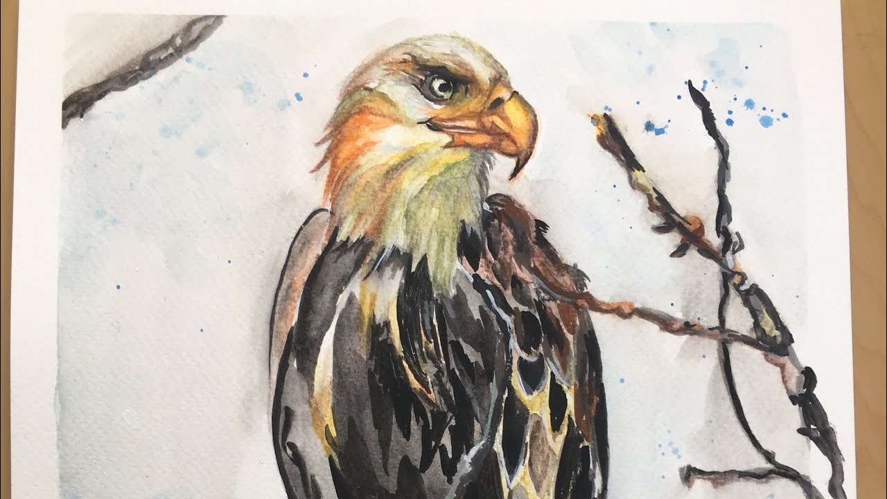 Eagle watercolour pencil tutorial - YouTube