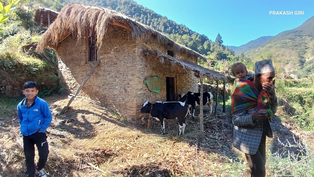 Living very Hard life in Nepali Mountain village lifestyle || Dely ...