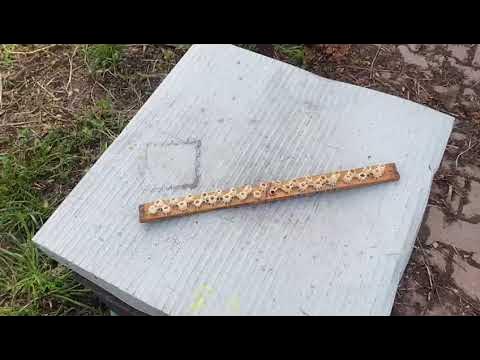 Macht nicht den gleichen Fehler wie ich!!! - YouTube