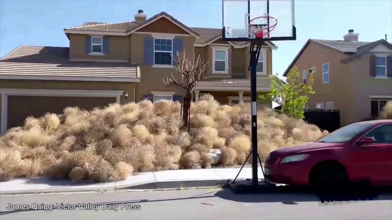 Tumbleweeds take over little California Town # Victorville - YouTube
