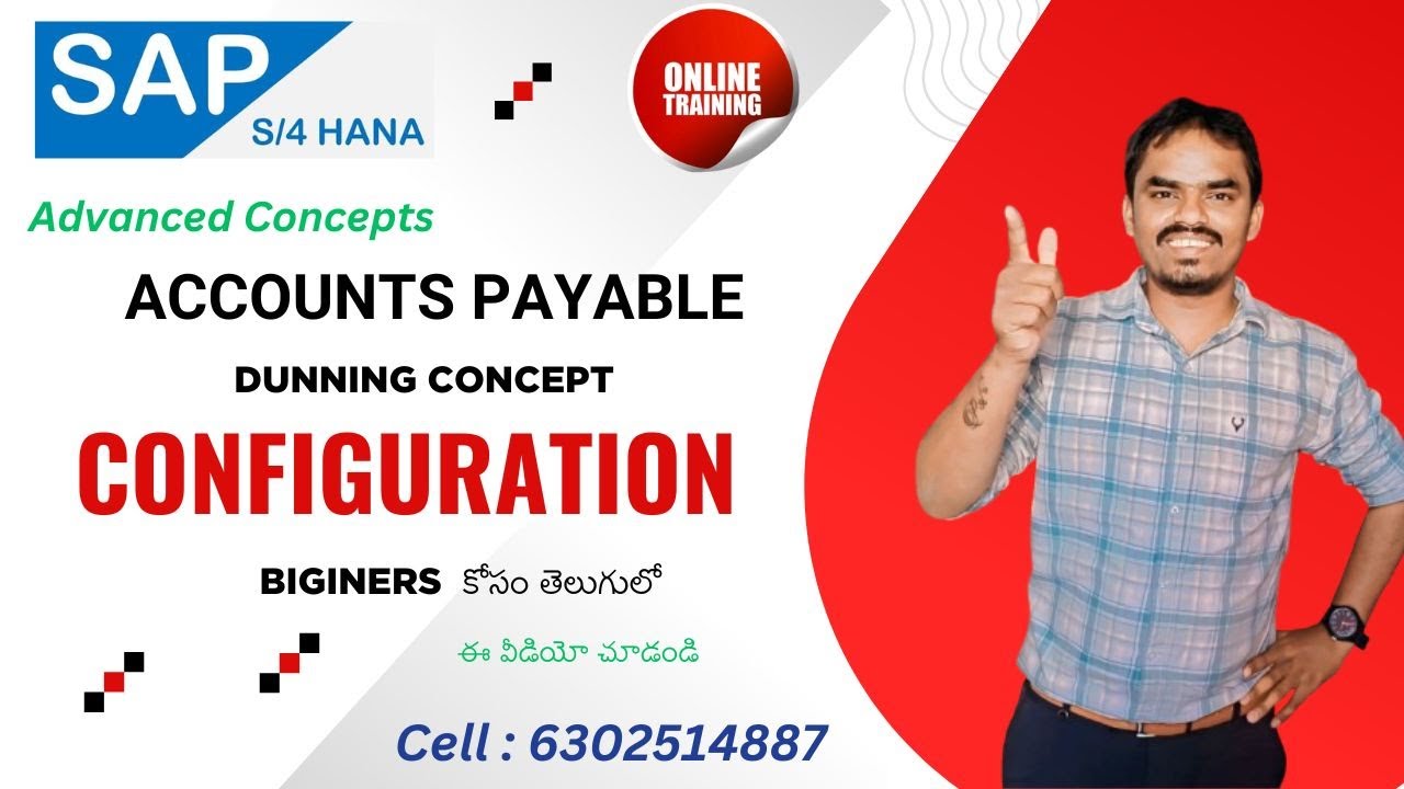 Accounts Payable and Dunning Process Configuration in SAP FICO S/4HANA ...