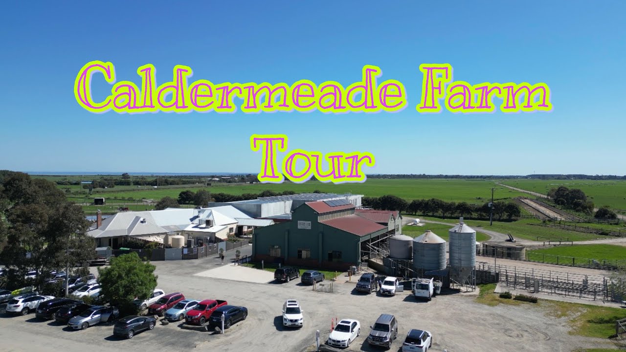 Caldermeade farm tour - YouTube