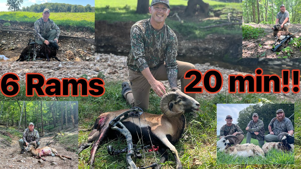 Ram Hunting // Spot and Stalk // Guys Trip// High Adventure Ranch - YouTube