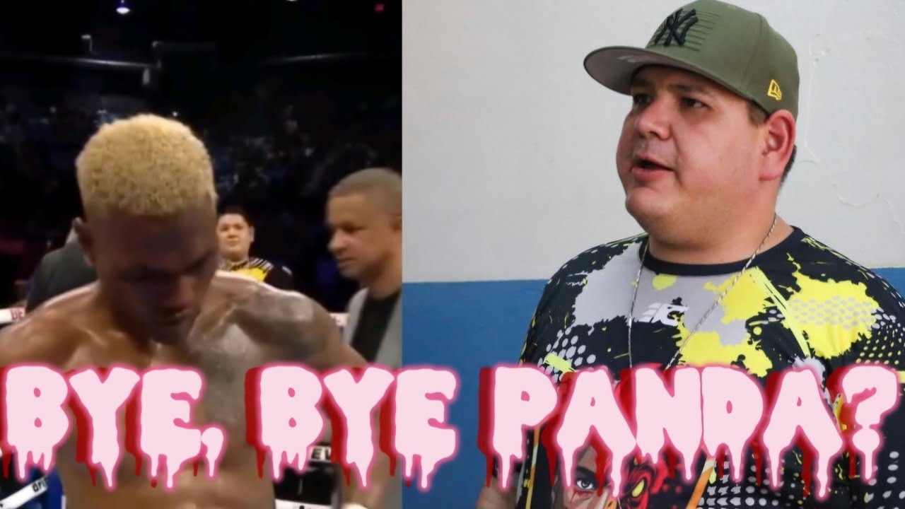 BYE BYE PANDA? BLAME GAME IS ON, WAS PANDA RESPONSIBLE FOR MATIAS LOSS ...