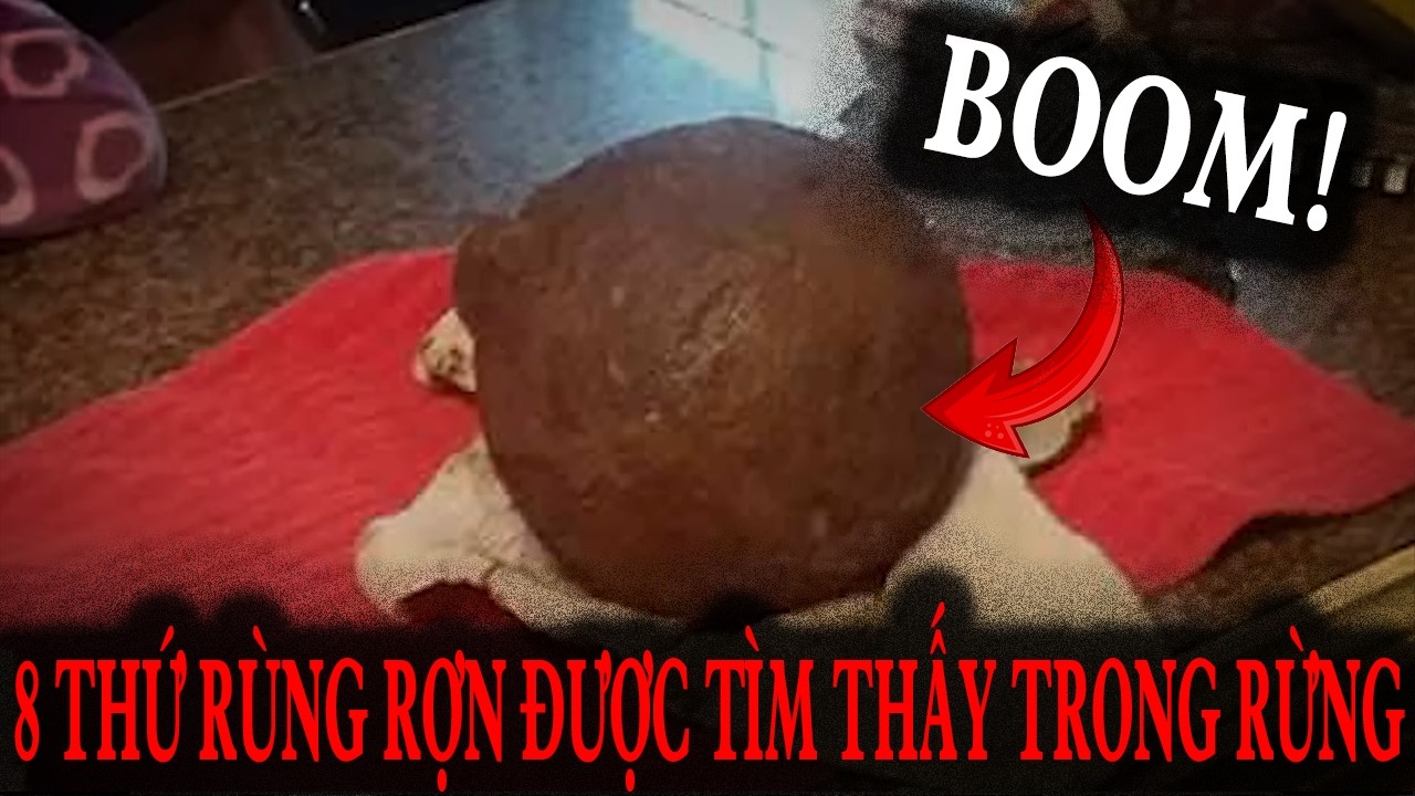 8 Đồ Vật Rùng Rợn Được Tôi Tìm Thấy Trong Rừng (Vali Chứa Xéc Người ...