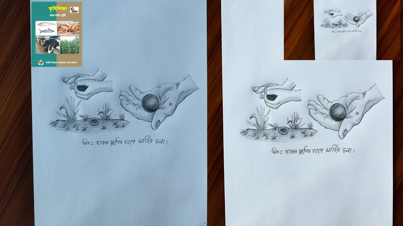 মাটির বুনট পরীক্ষা || কৃষি শিক্ষা ব্যবহারিক || Practical || Agriculture ...