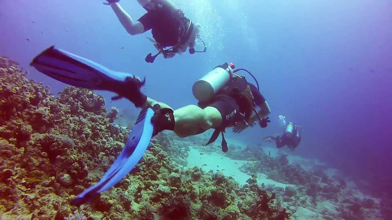 Egypt - Red Sea Diving - 2013 - YouTube