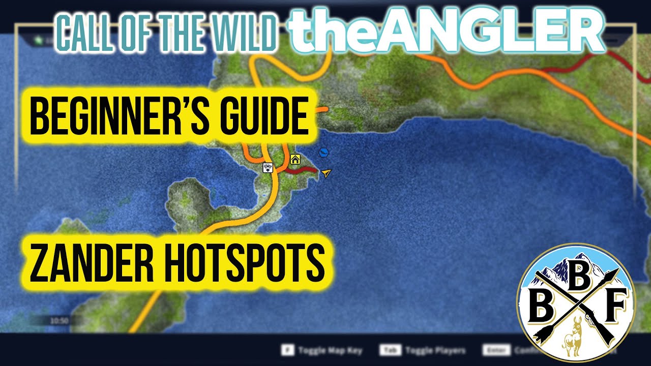 Beginner's Guide: Zander Hotspot - Plus some fishing with @Kinsko!! # ...