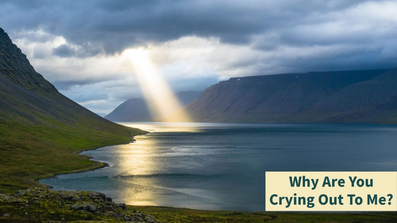 Why Are You Crying Out To Me? - YouTube