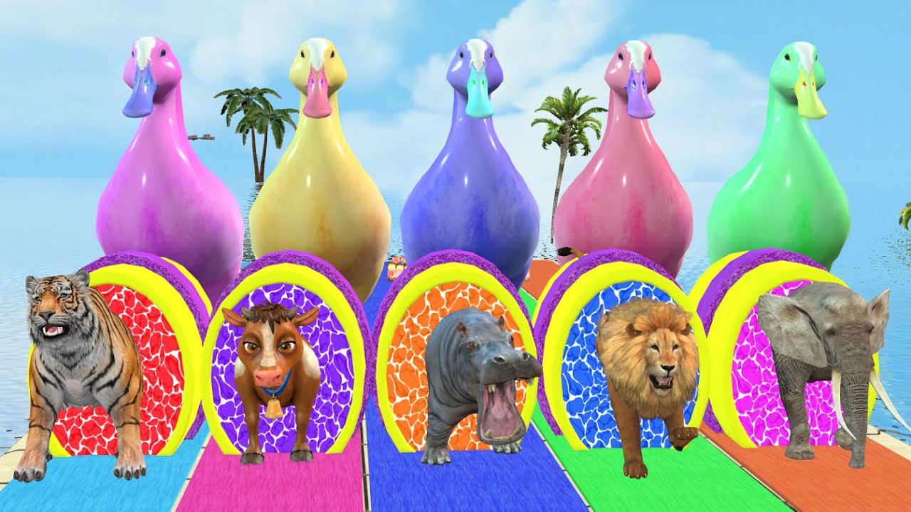 Long Slide Game With Duck Hippo Tiger Cow | Paint Animals Fountain ...