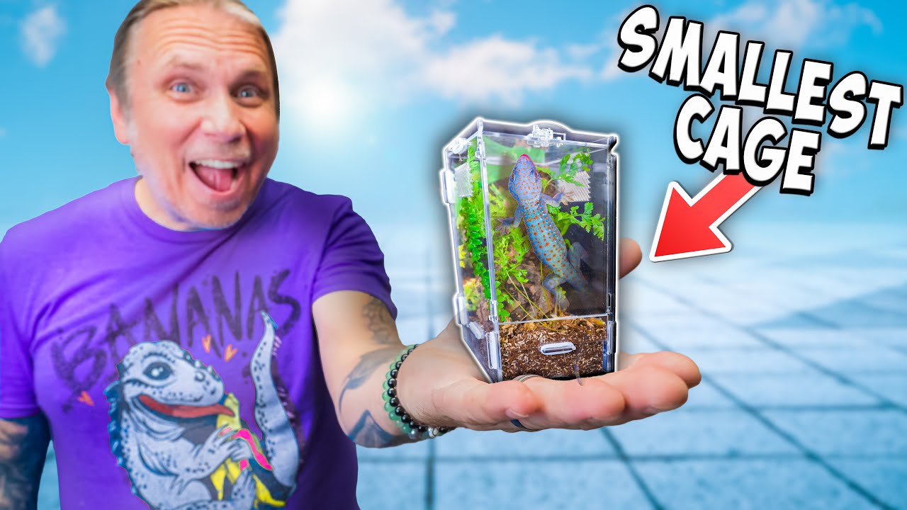 I Bought The Smallest Reptile Cage On The Internet - YouTube