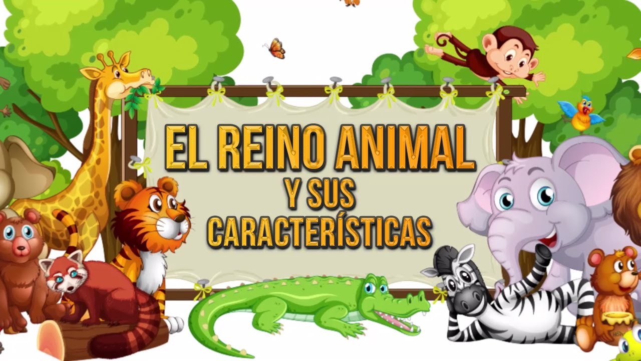 EL REINO ANIMAL Y SUS CARACTERÍSTICAS - YouTube