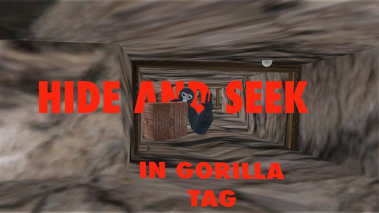 Funniest Game of Hide and Seek in Gorilla tag! - YouTube