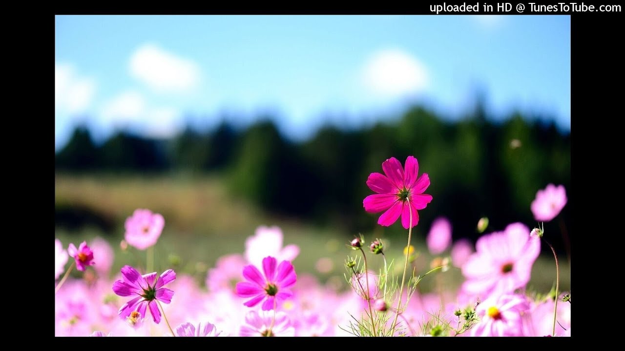 Faida Ya Uwatu - YouTube