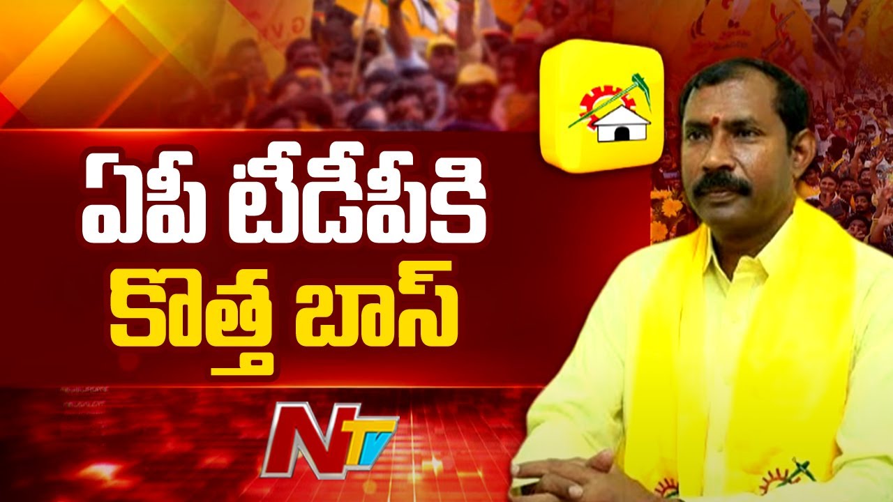 Palla Srinivasa Rao Appointed as President of AP TDP | NTV - YouTube