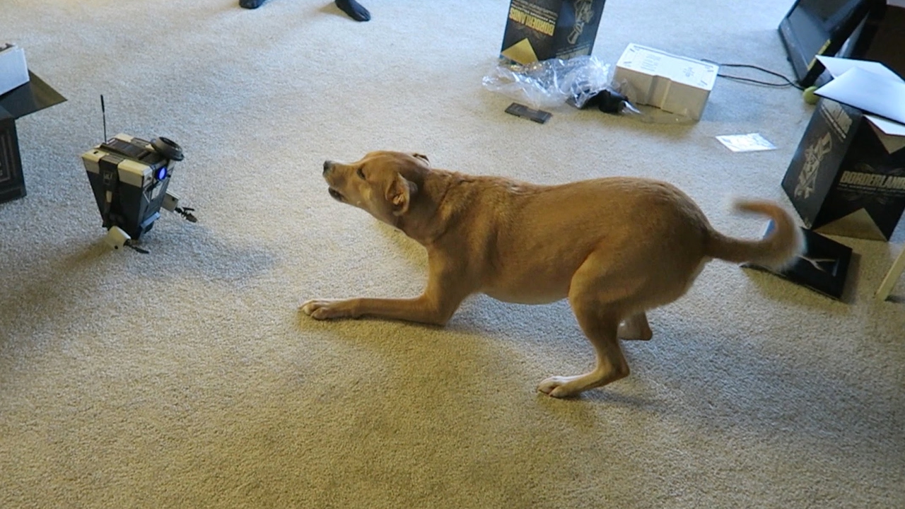 Remote Control Claptrap vs Buster | Borderlands: The Handsome ...