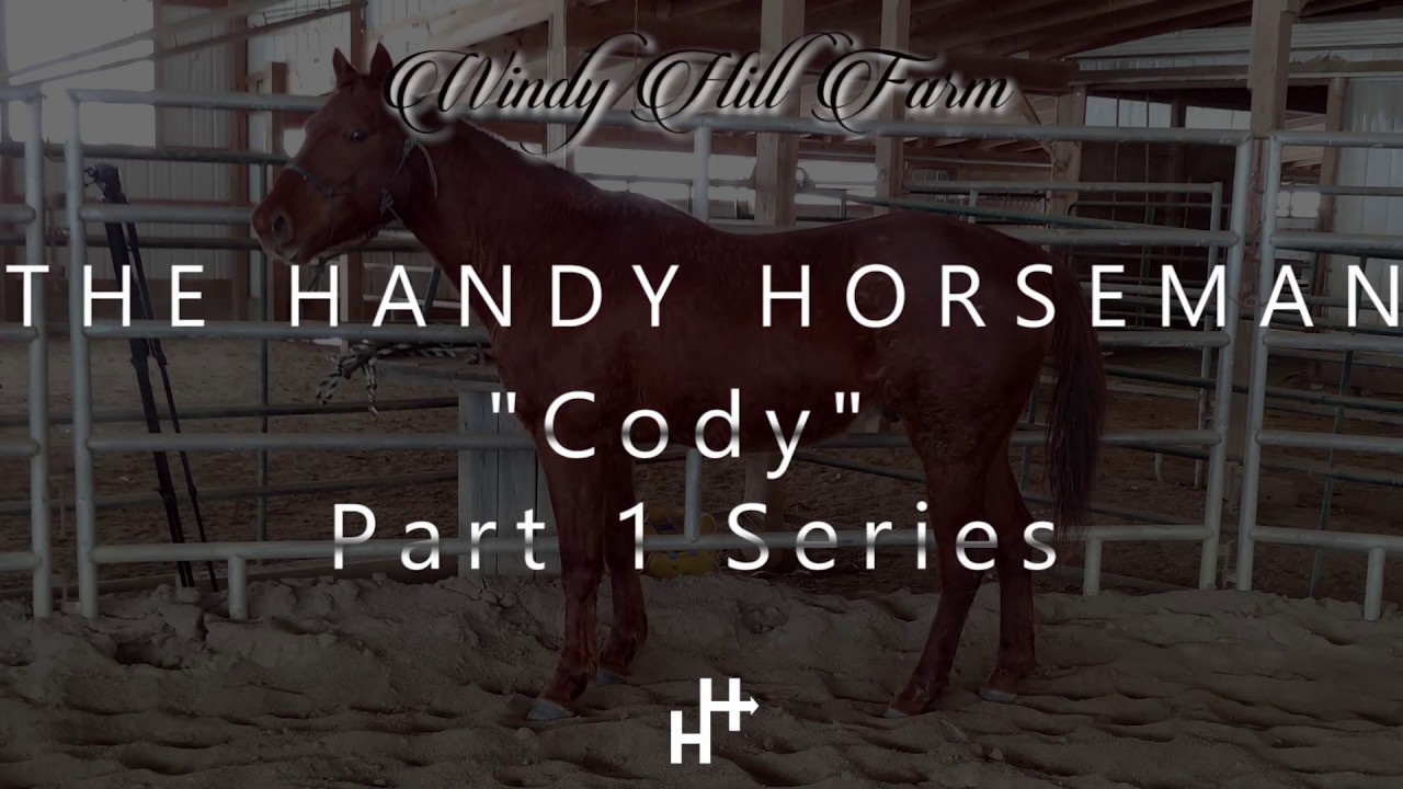 "Cody" Part 1 - Turn Cody Into a Useful, Therapeutic Horse! - YouTube