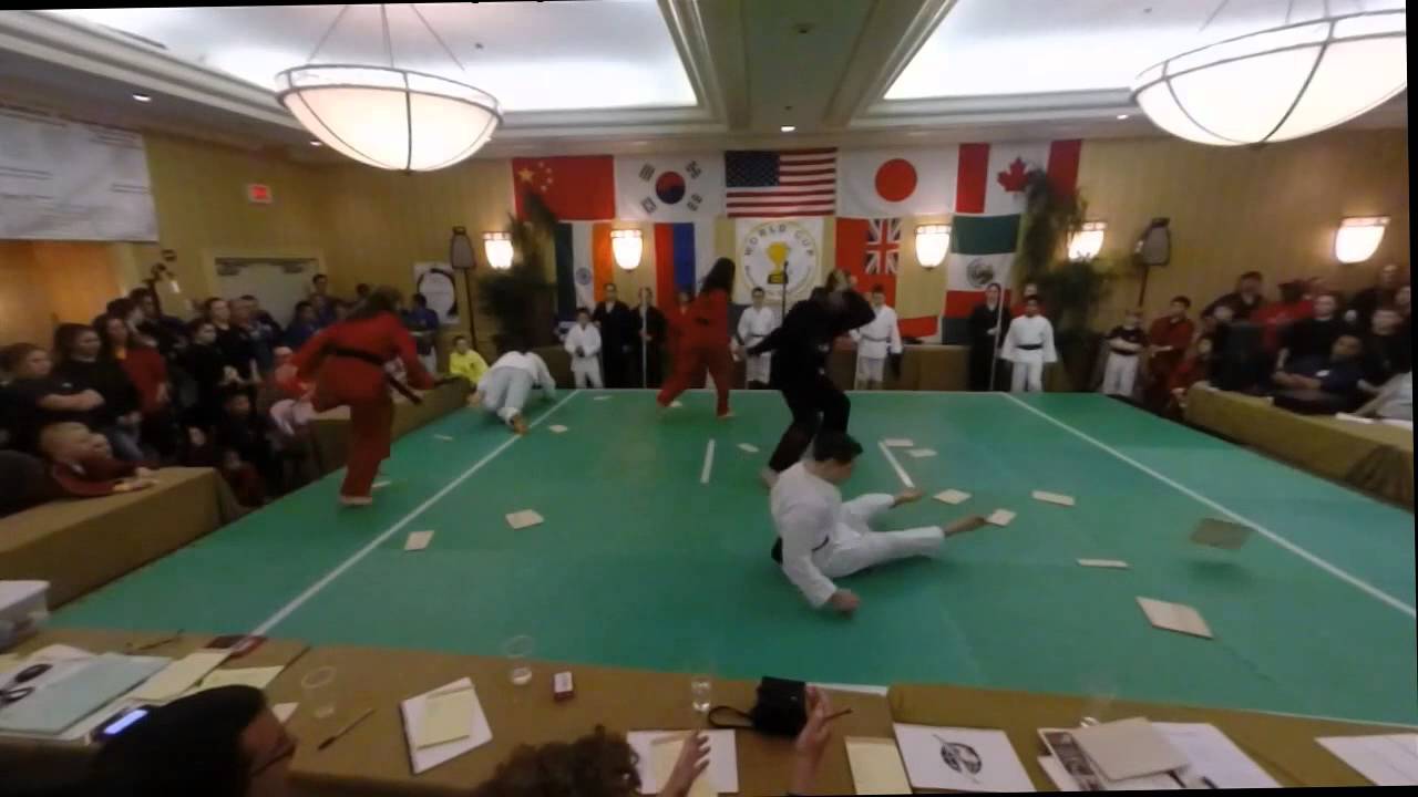 Red Dragon Team Demo at 2014 World Cup Finals Open Martial Arts ...