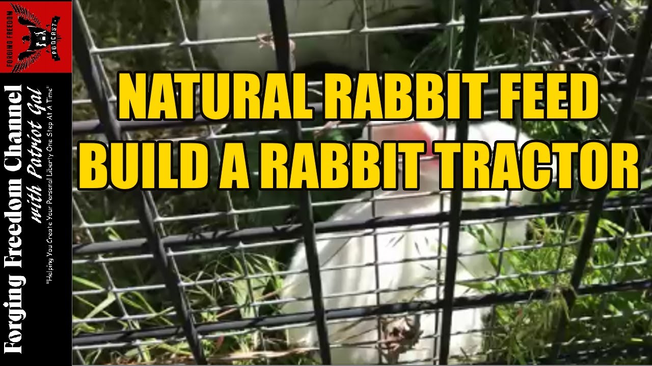 Natural Rabbit Feed - Build a Rabbit Tractor with What You Have On Hand ...