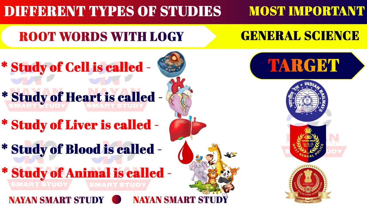 Different Types Of Studies And Their Names Root Words With Logy A List different-types-of-studies-and-their-names-root-words-with-logy-a-list