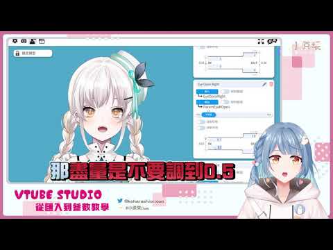 【來栞教學】新手VTUBER實用教學#2 手把手教你怎麼使用VTS!  #vtuber #VTS #教學