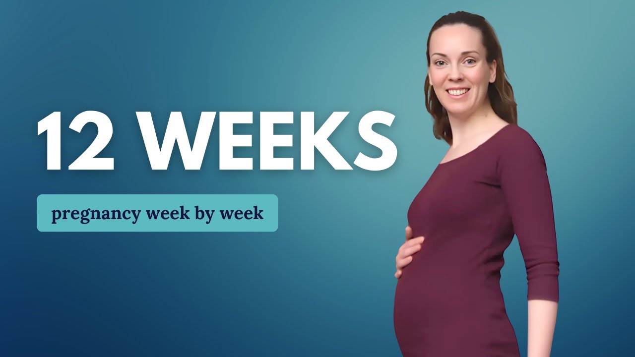 12 Weeks Pregnant 🤰 What to Expect: Changes for You & Baby Development ...