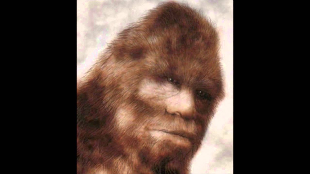 New Video for the Oregon Sasquatch Symposium 2011 - YouTube