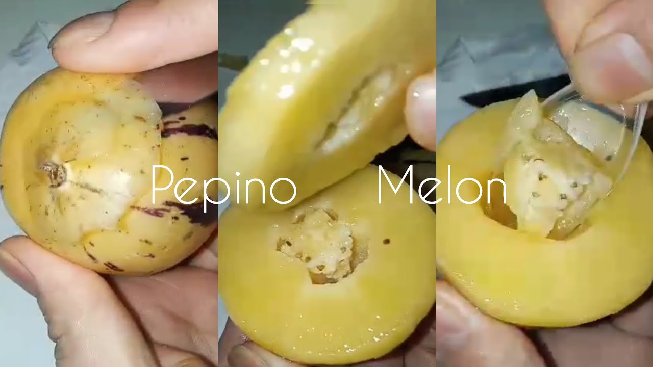 Savory Pepino Melon! Cut to scoop the goodness pepino! ASMR satisfying ...